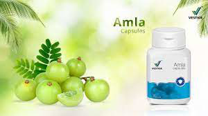 Complement alimentaire, AMLA, 60 capsules, VESTIGE